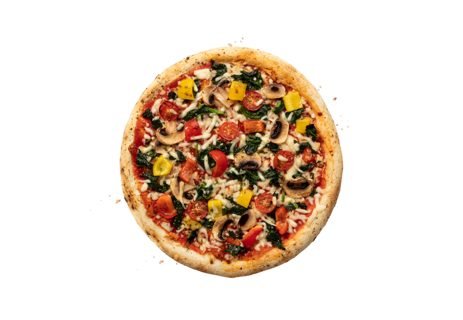 Produkte - Seite 2 von 3 - Bakerman®